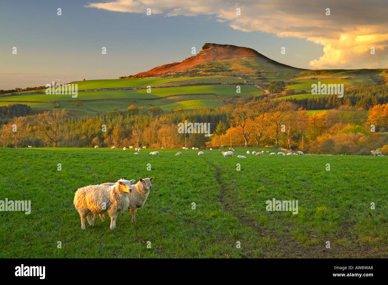 Roseberry Topping North Yorkshire Moors National Park England with low ...