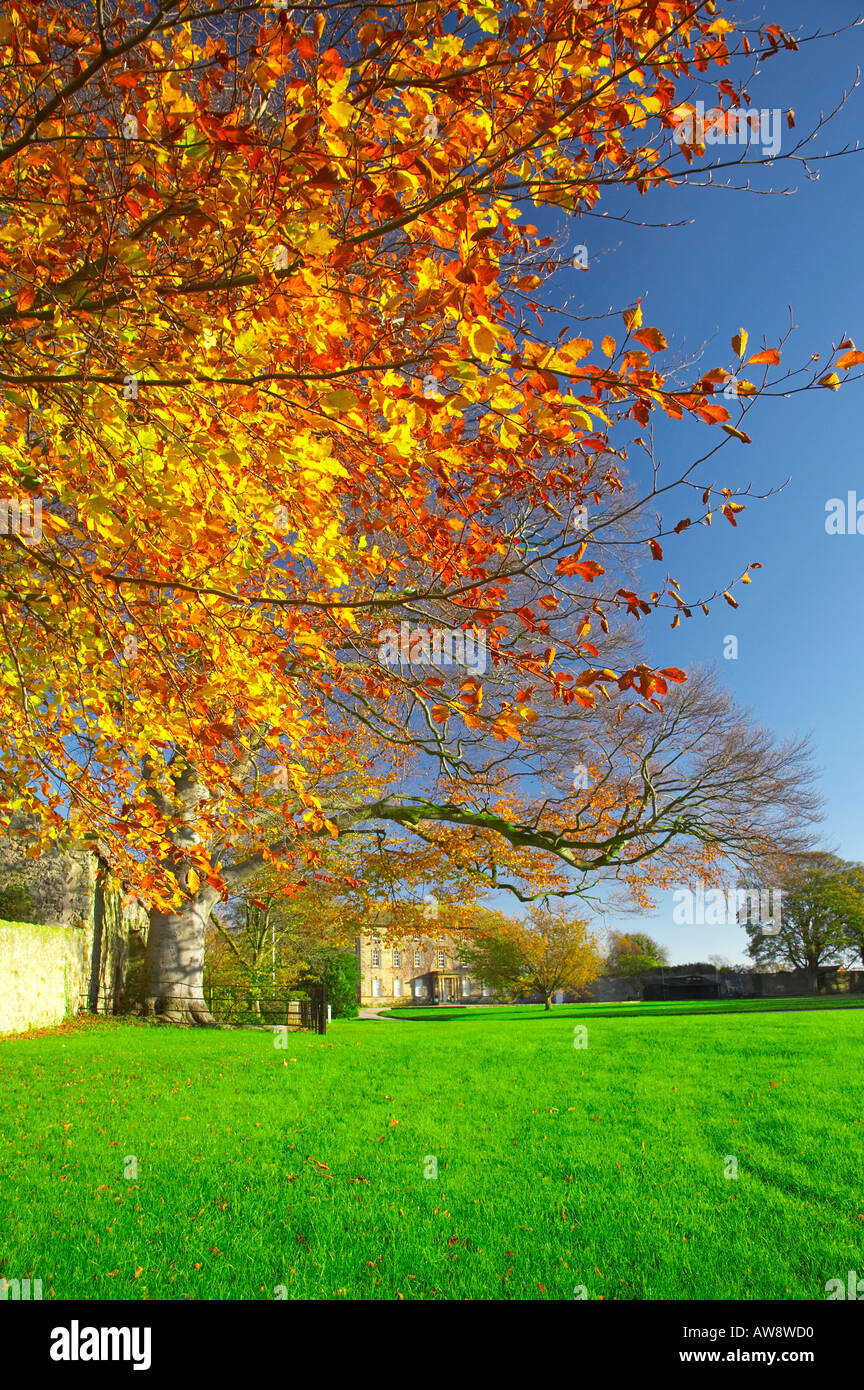 Crakehall hi-res stock photography and images - Alamy