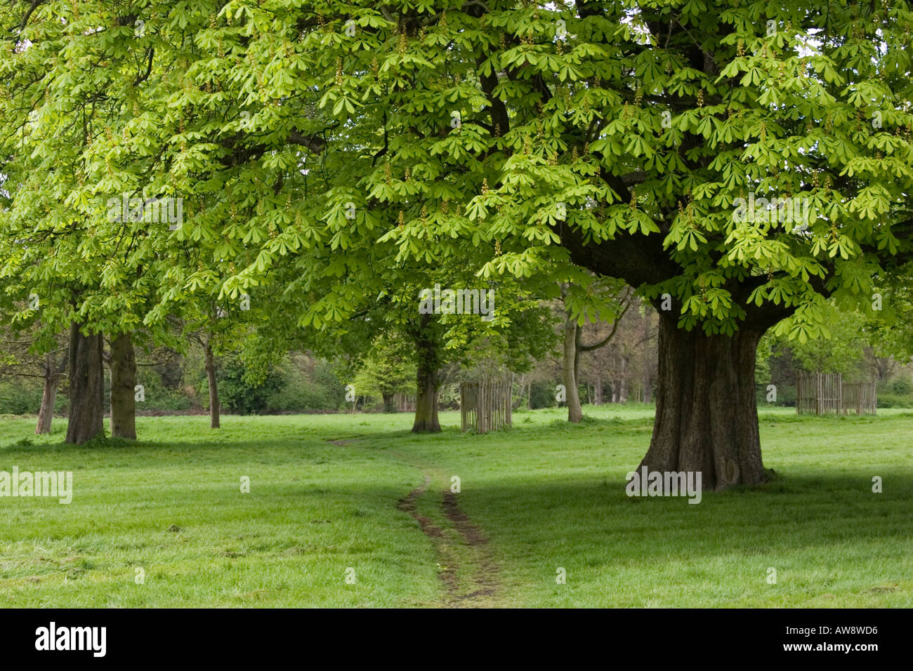 Spring time in the uk hi-res stock photography and images - Alamy