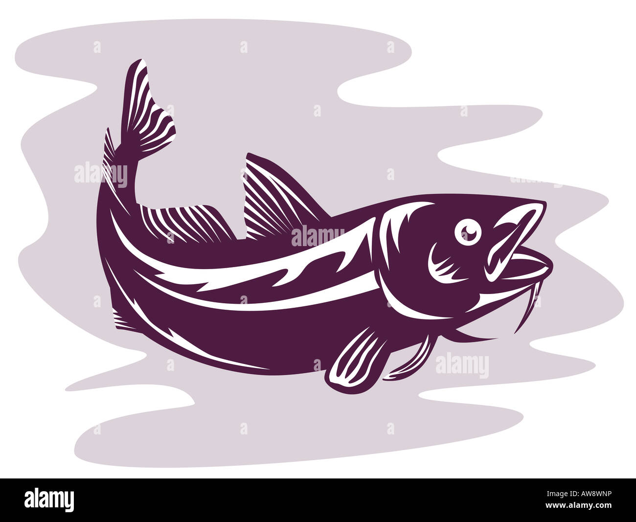 Atlantic cod sea Cut Out Stock Images & Pictures - Alamy