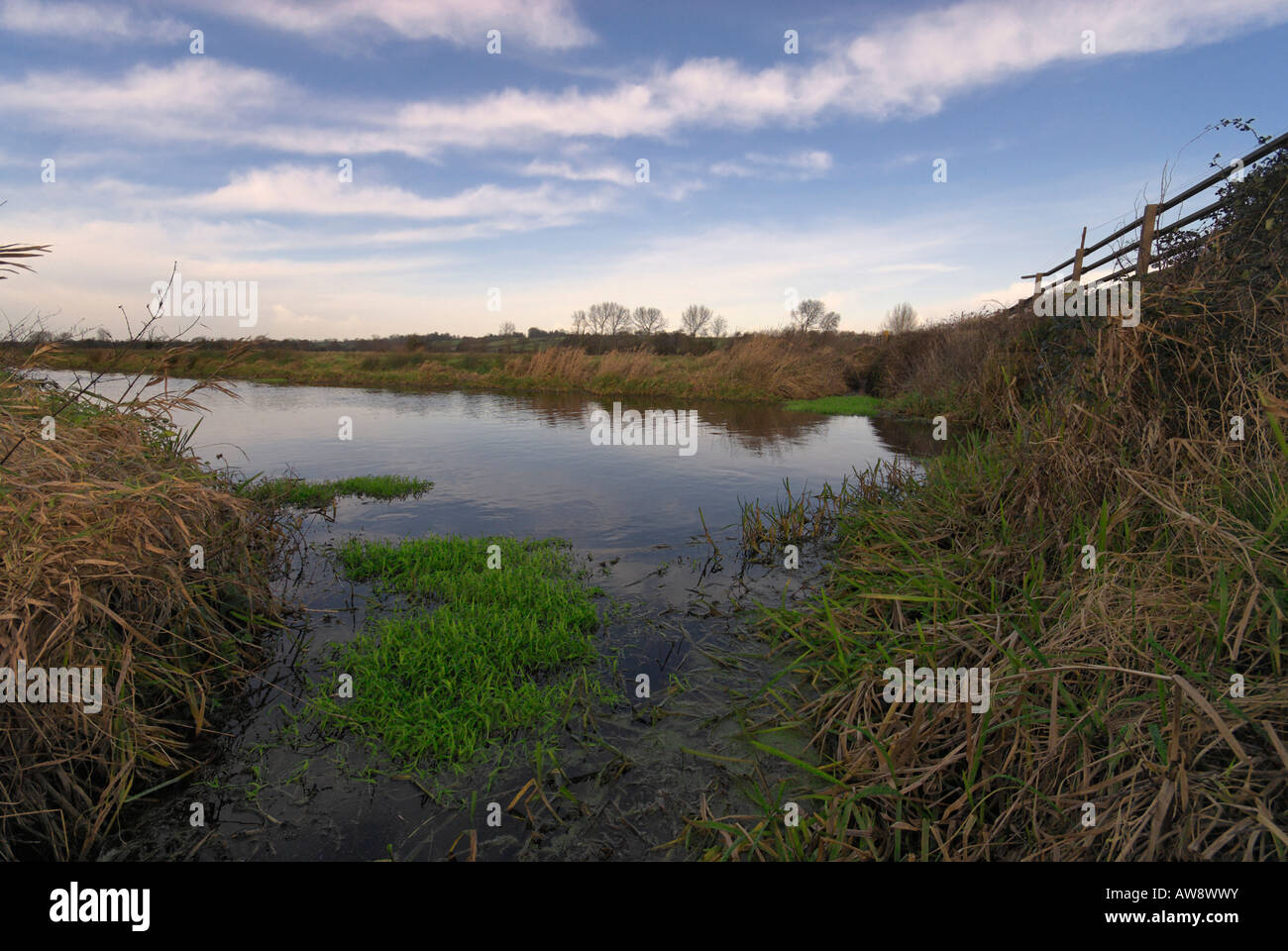Drainage reen hi-res stock photography and images - Alamy