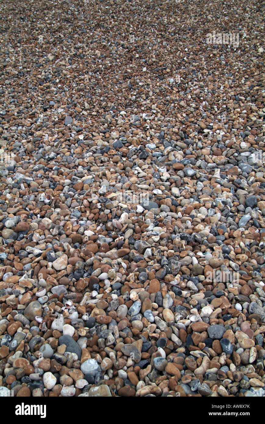 stones pebbles and shingle on brighton and hove city beach, East sussex ...