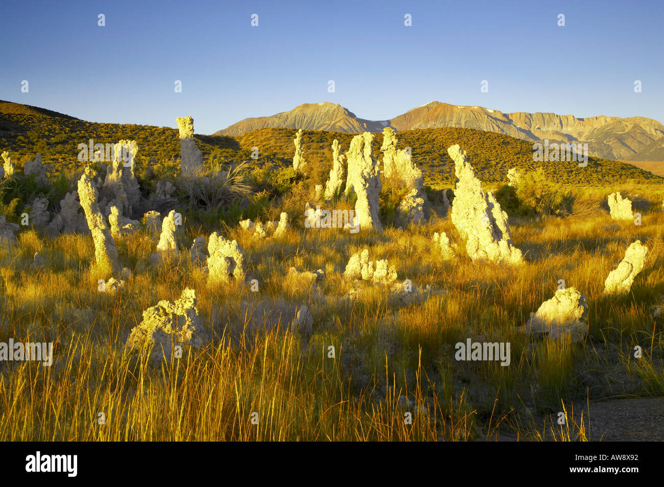 Dawn at Mono Lake near Lee Vining California USA Stock Photo - Alamy