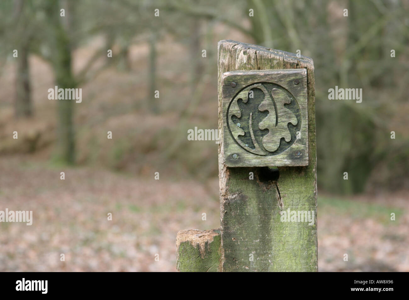 National Trust Emblem High Resolution Stock Photography and Images - Alamy