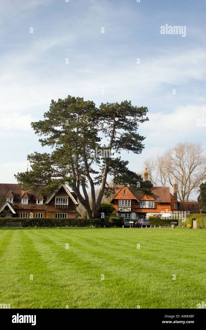 Large tree stands between two houses with lawn in Reigate Surrey Stock ...