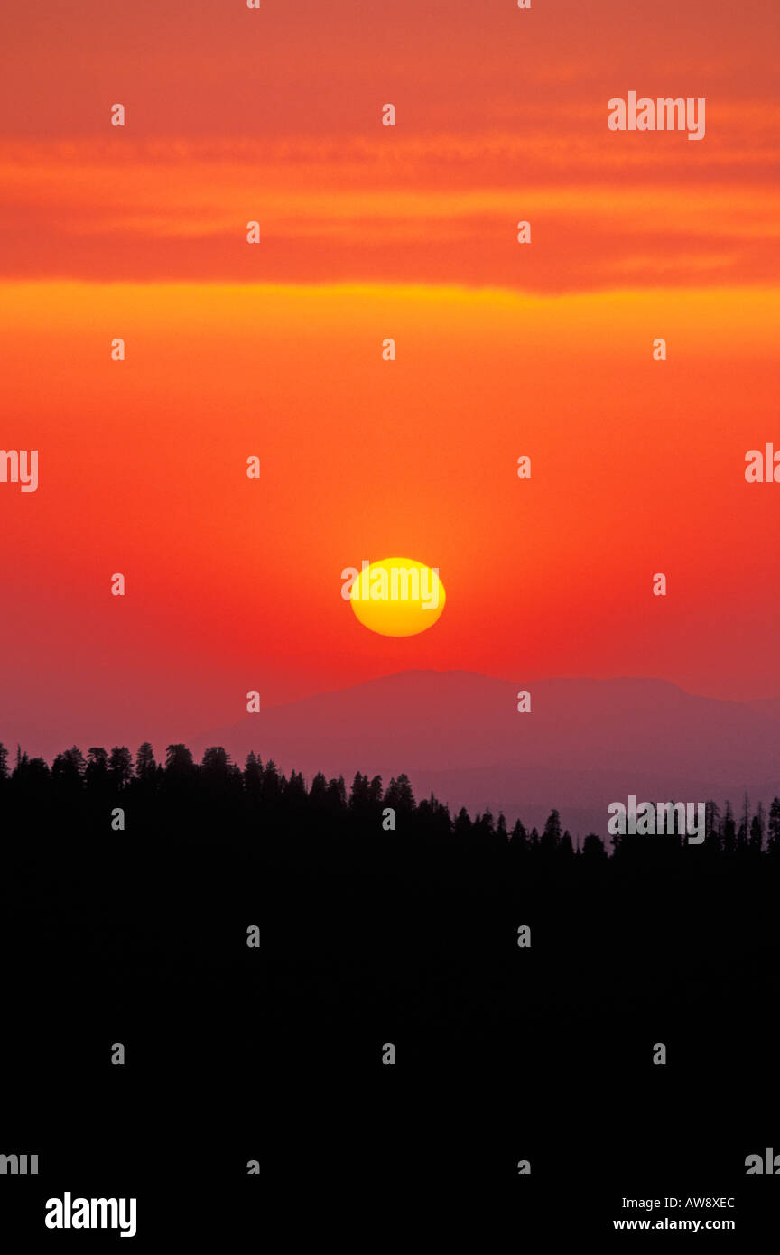 Sequoia foothills hi-res stock photography and images - Alamy