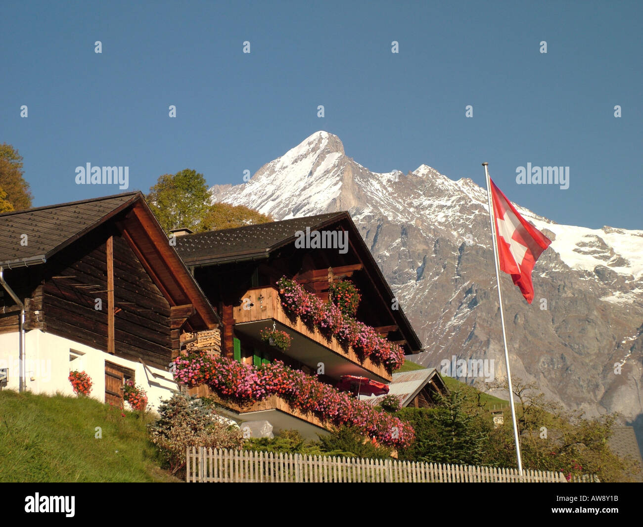 Traditional swiss chalet window boxes hi-res stock photography and ...