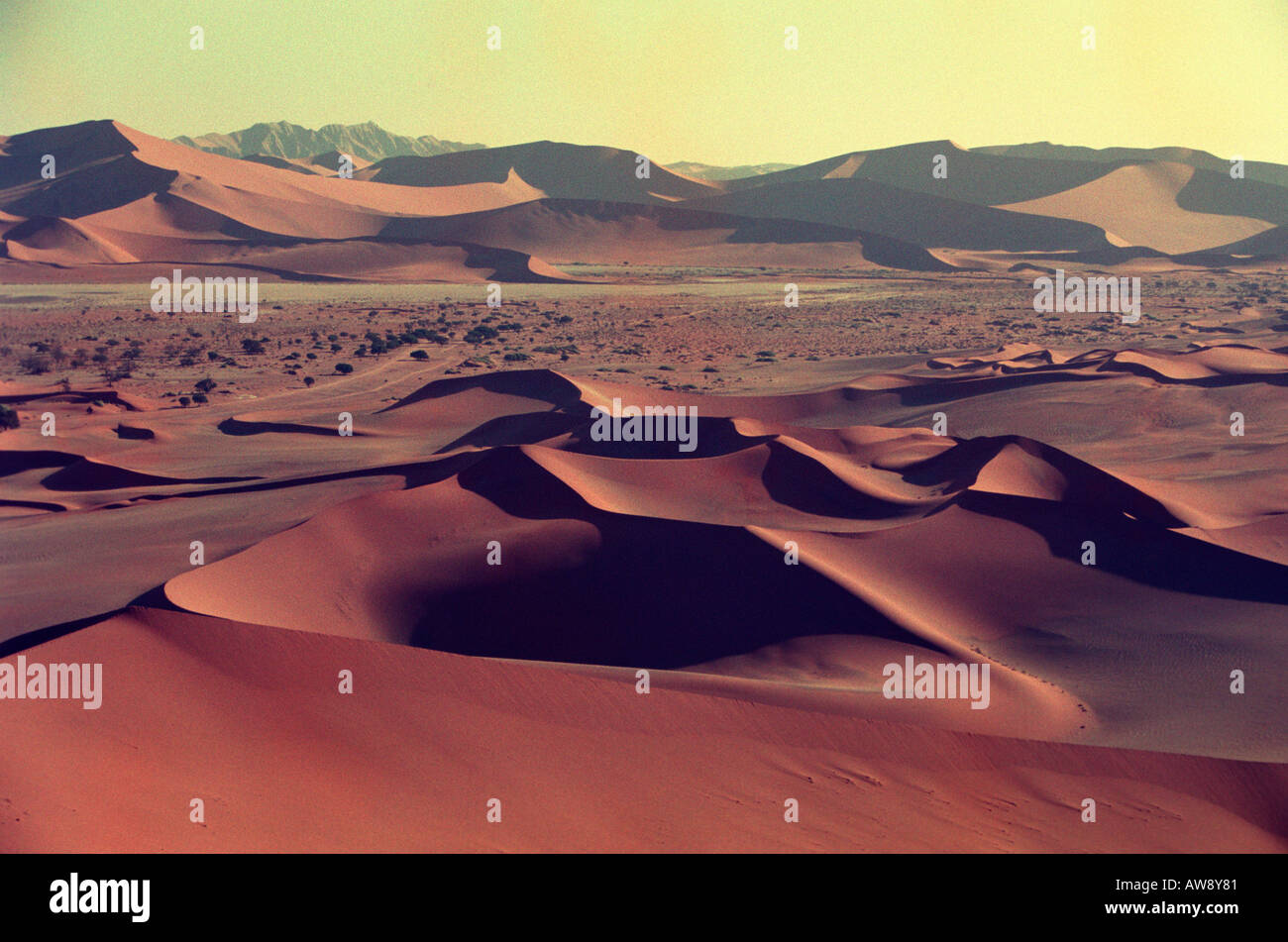Visit in the dunes of the namib desert hi-res stock photography and ...
