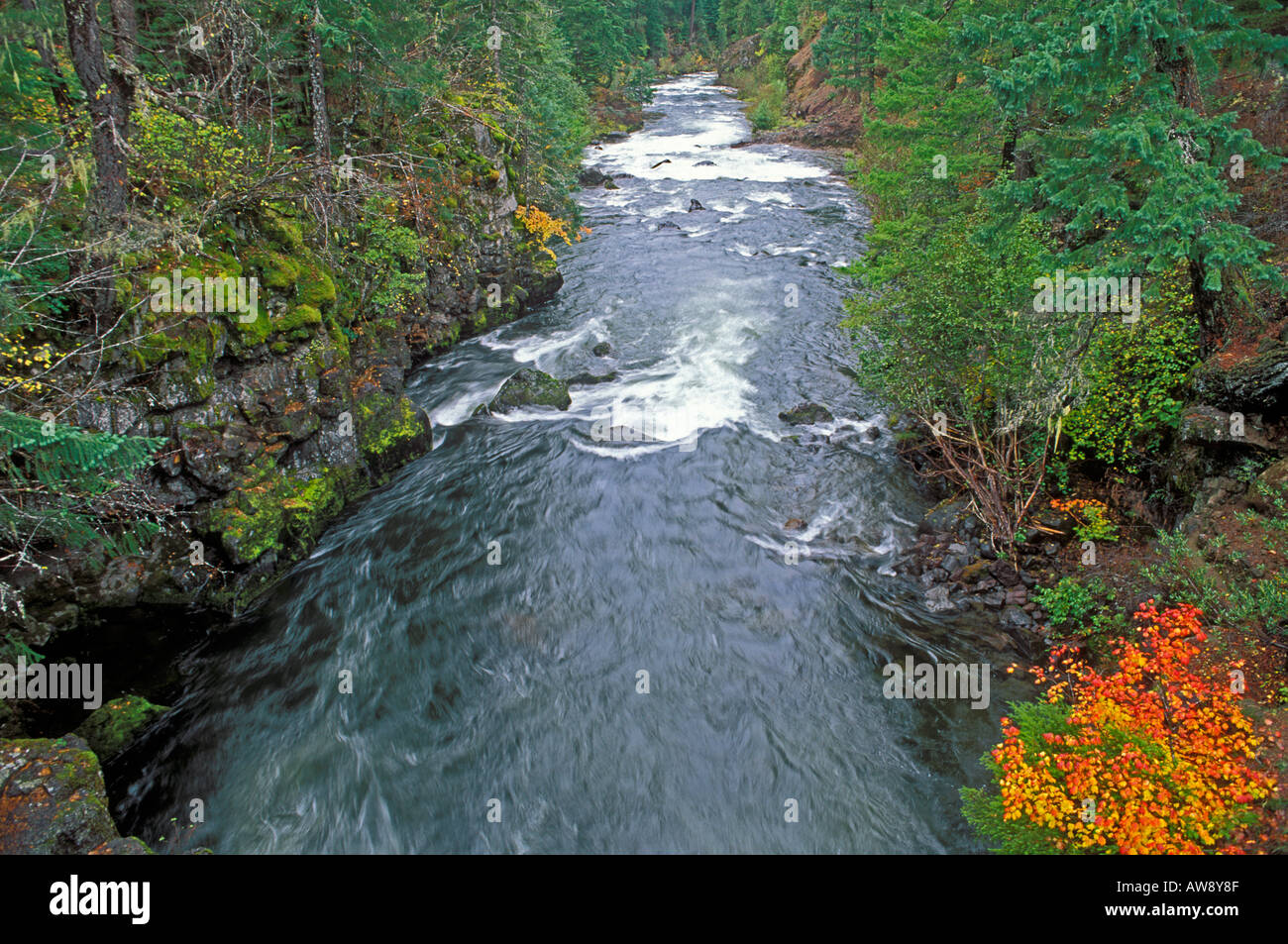 Fall color along the Rogue River Rogue River National Forest Oregon ...