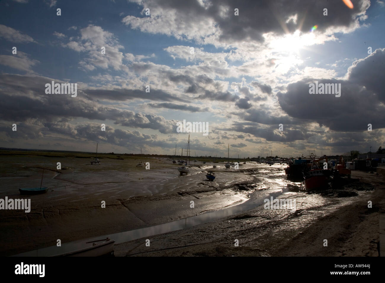 Shell fish leigh on sea hi-res stock photography and images - Alamy