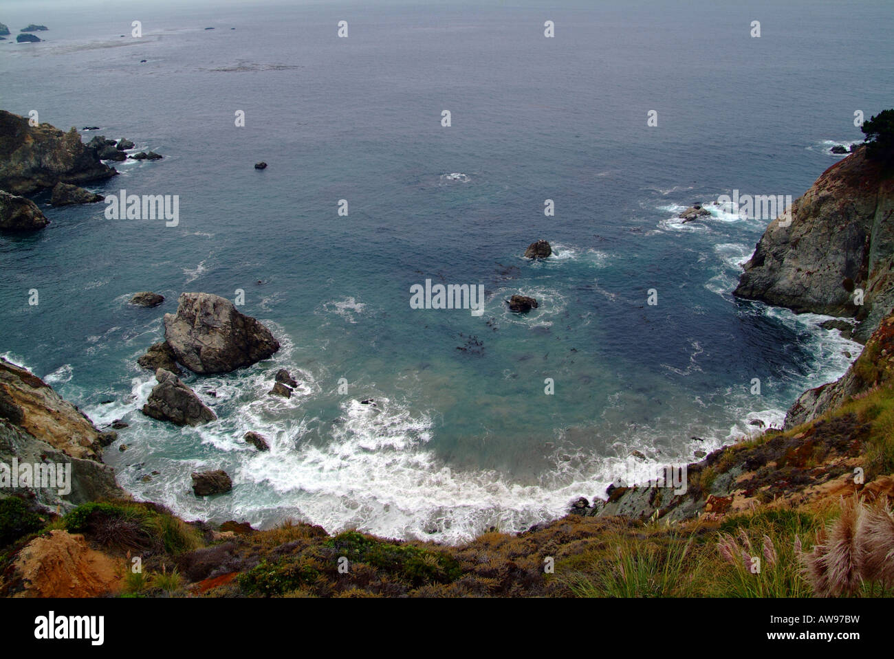 cliff and sea lions on the pacific highway 1 one Big Sur, California, U ...