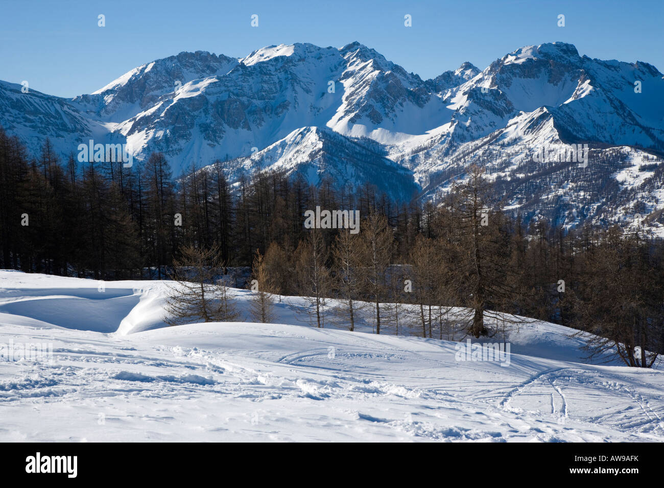 Off piste tracks hi-res stock photography and images - Alamy