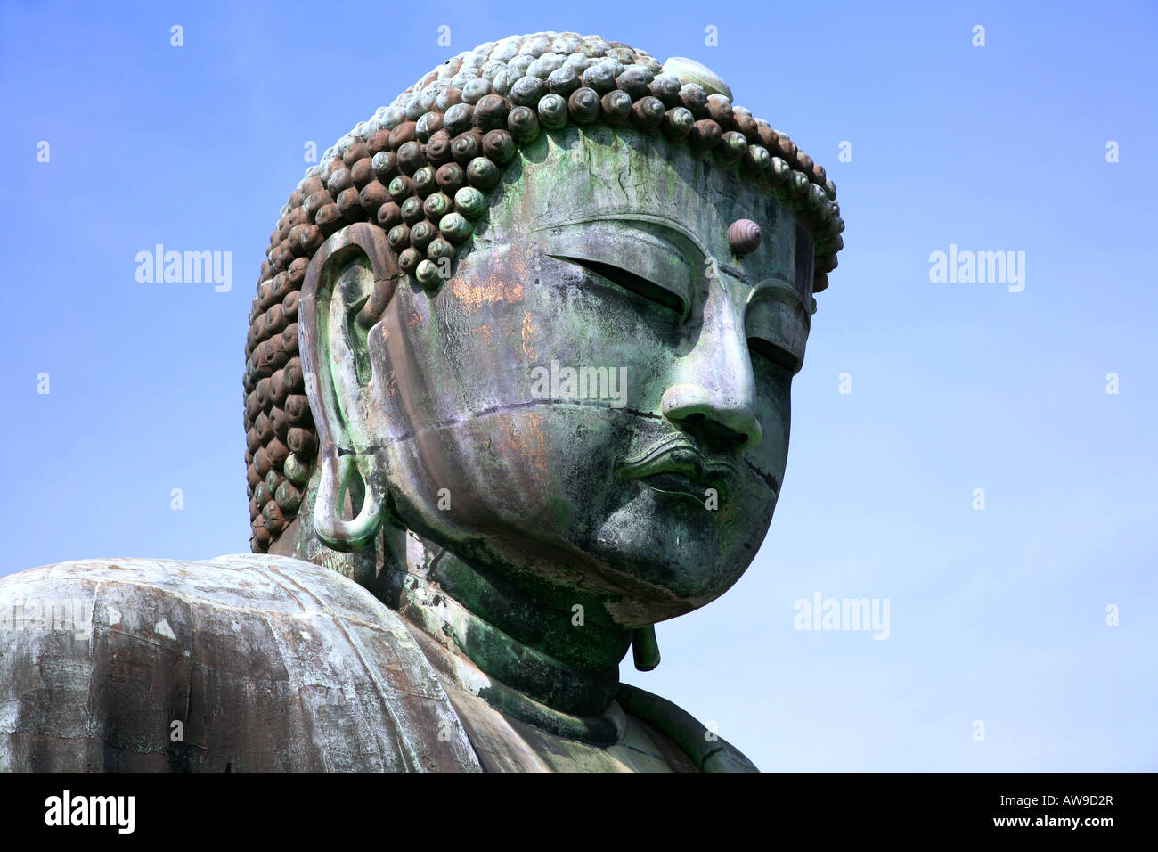 ‘Daibutsu’ giant statue of the Buddha, Kamakura, Japan Stock Photo - Alamy