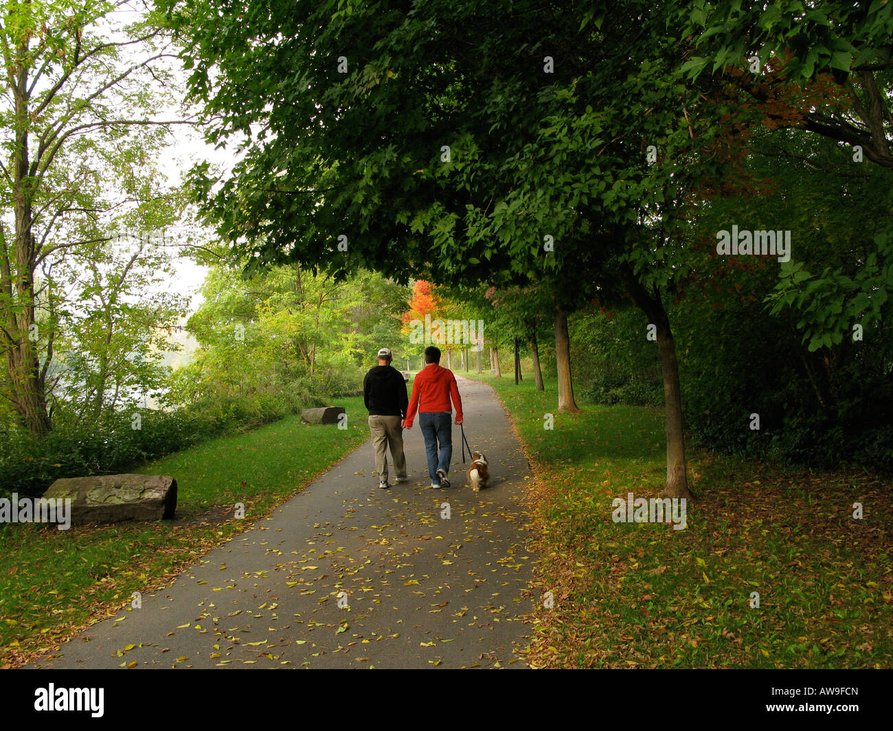 Man walking by canal man walking by canal hi-res stock photography and ...