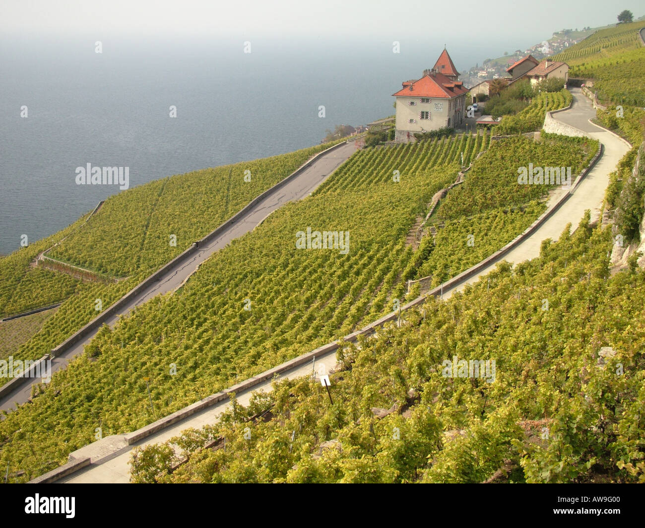 Lavaux switzerland vin hi-res stock photography and images - Alamy