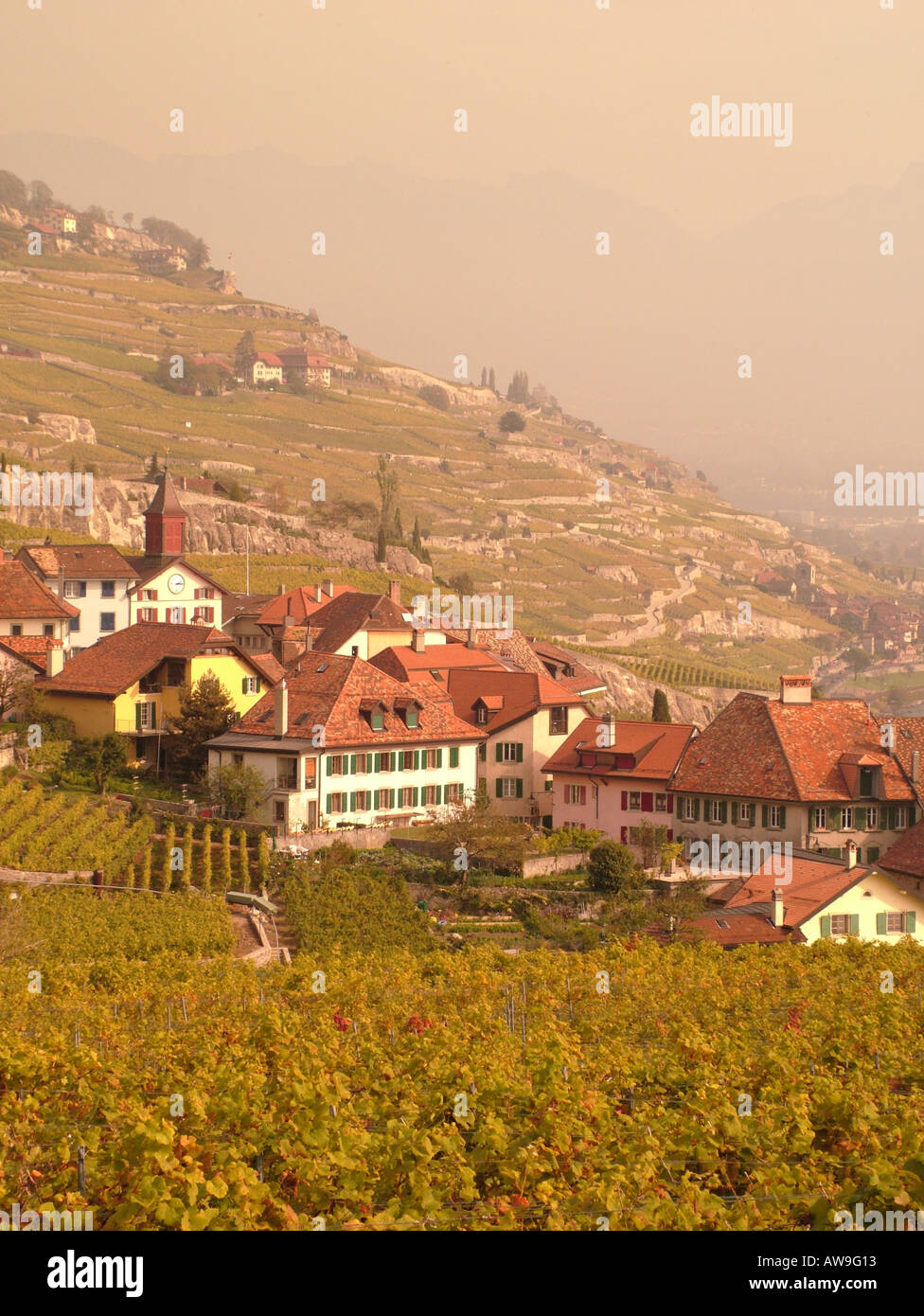 Lavaux switzerland vin hi-res stock photography and images - Alamy
