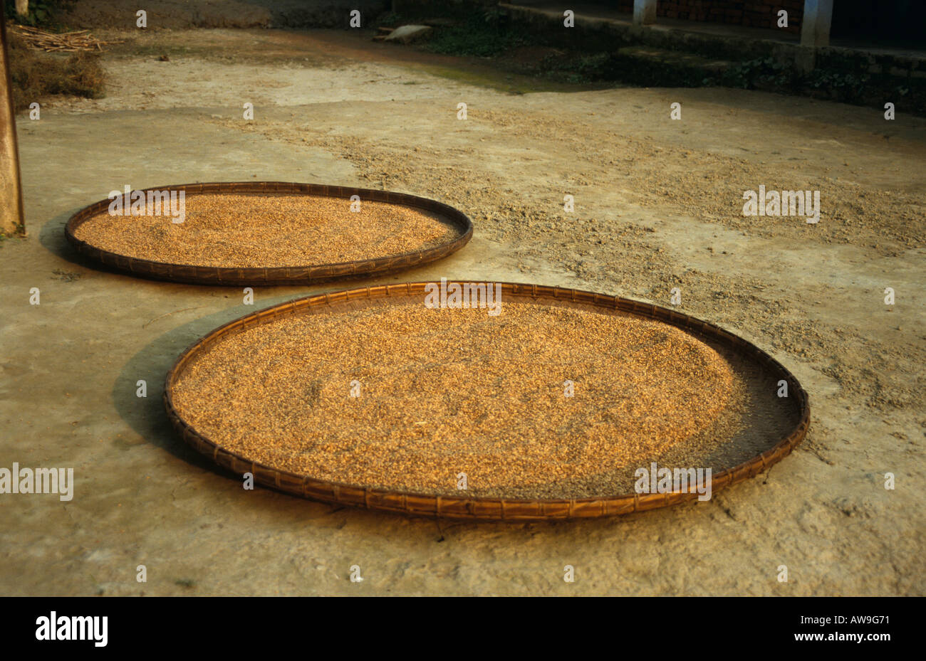 Satra majuli hi-res stock photography and images - Alamy