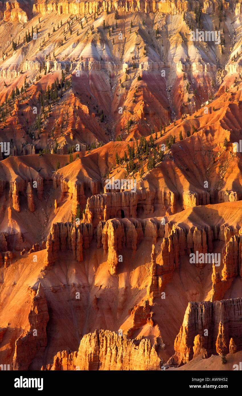 Afternoon light the Cedar Breaks Amphitheater from Point Supreme Cedar ...