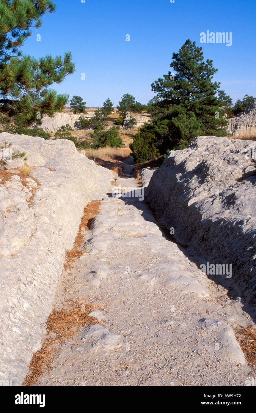 Conestoga Wagon ruts in rock along the Oregon Trail near Guernsey ...