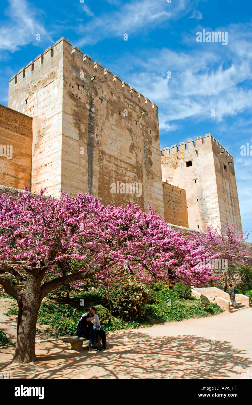 Alhambra: Alcazaba: Towers and Blooming Trees Stock Photo - Alamy
