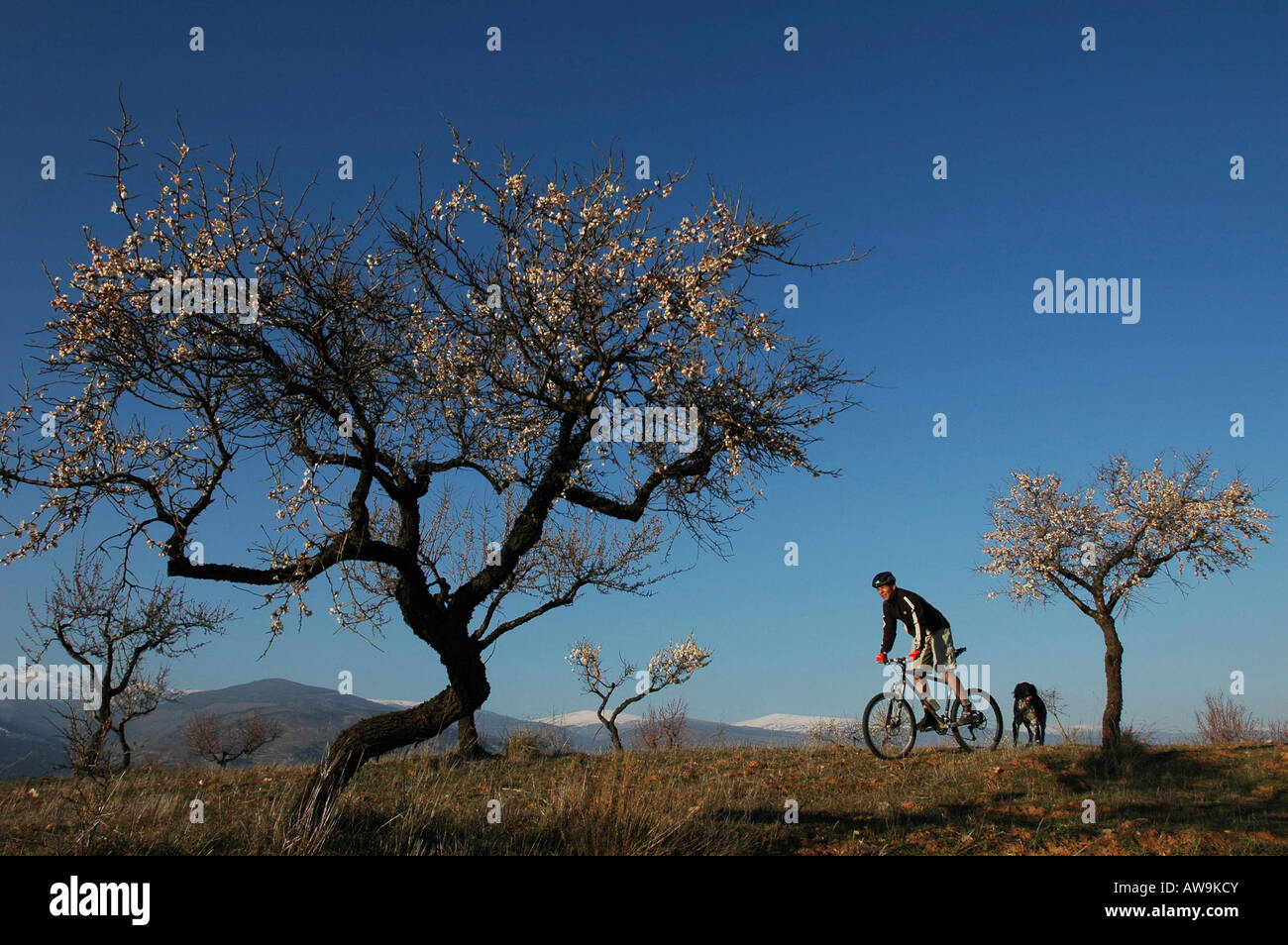 Trails Of Las Alpujarras High Resolution Stock Photography and Images ...