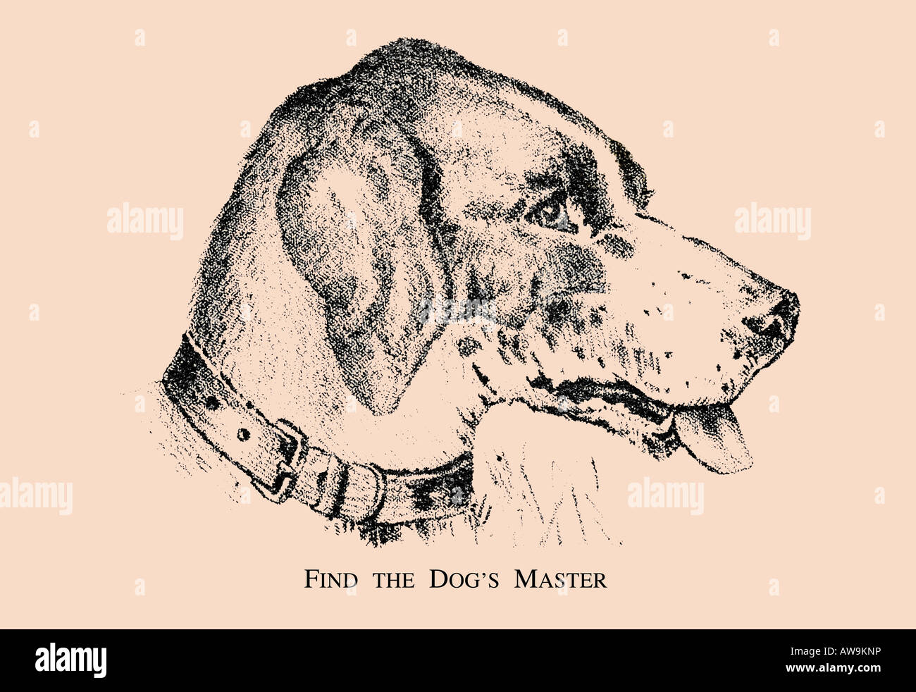 Find the Dog's Master Stock Photo - Alamy