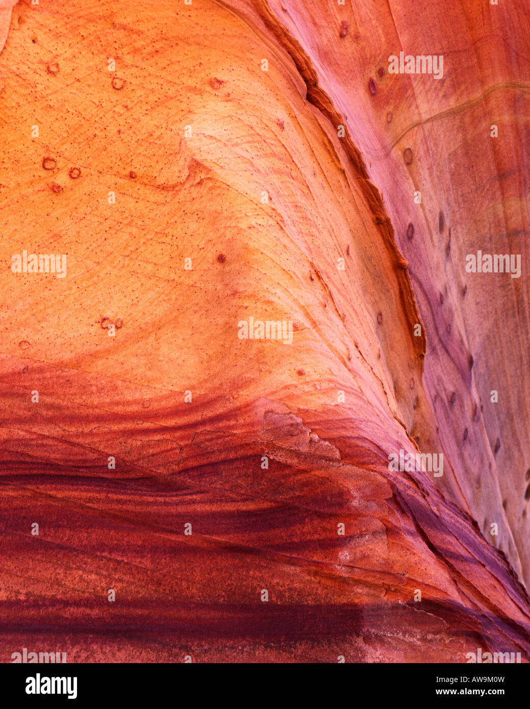 Sandstone detail of petrified sandstone in coyote buttes south Stock ...