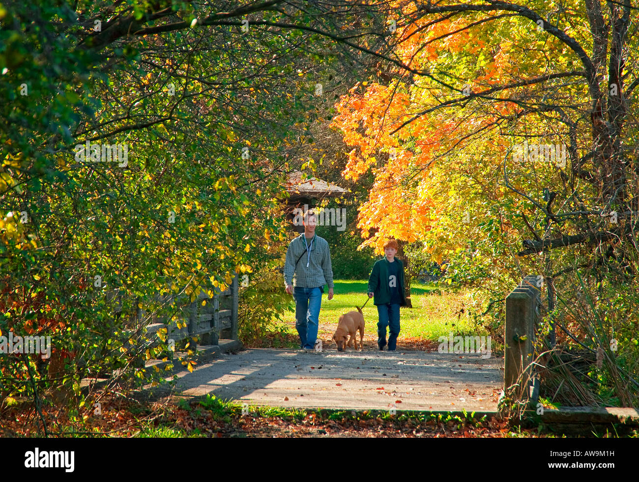 Autumn walk in park Stock Photo - Alamy