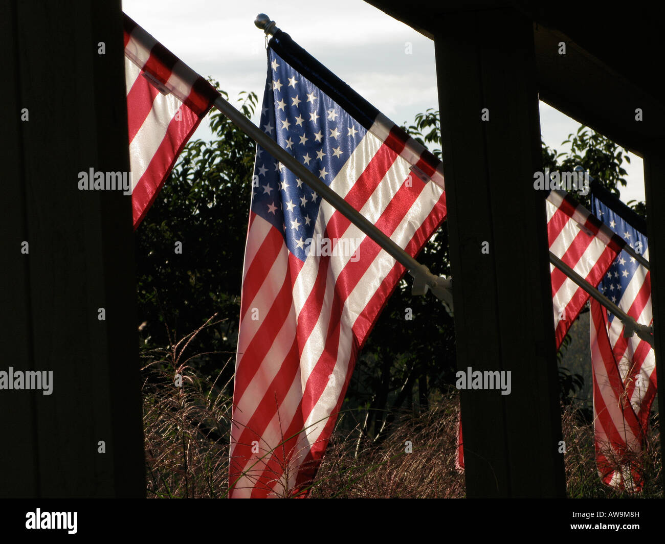 Patriotic display of American Flags Stock Photo - Alamy