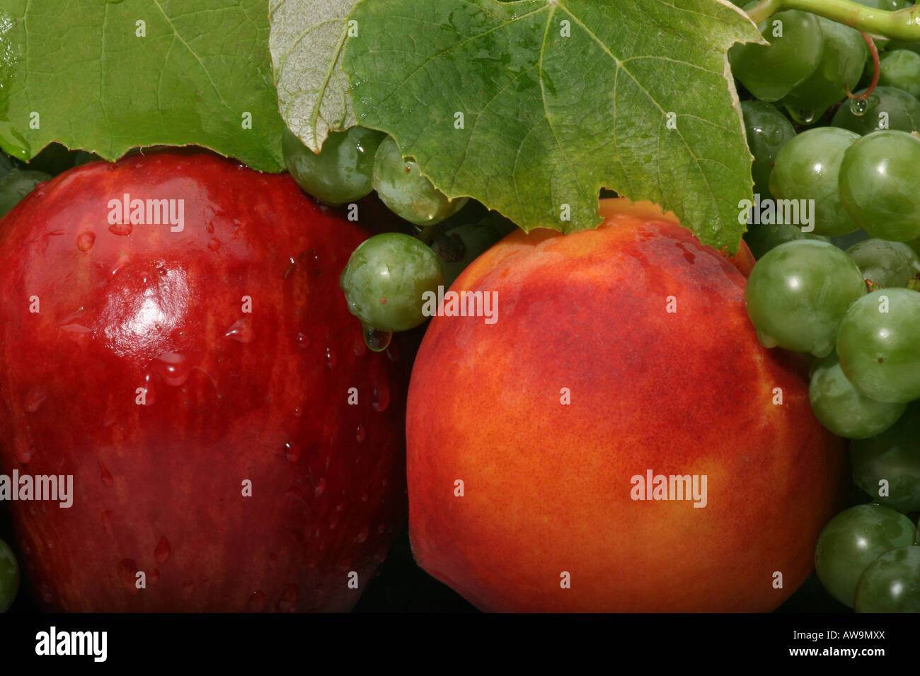 Summer juicy fruits full frame display detail close-up closeup nobody ...
