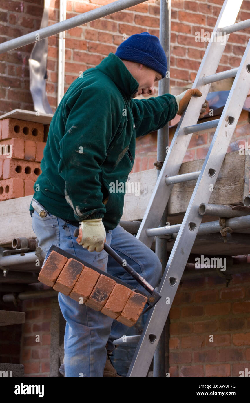 Builder Carrying Bricks Up Ladder Stock Photo - Alamy