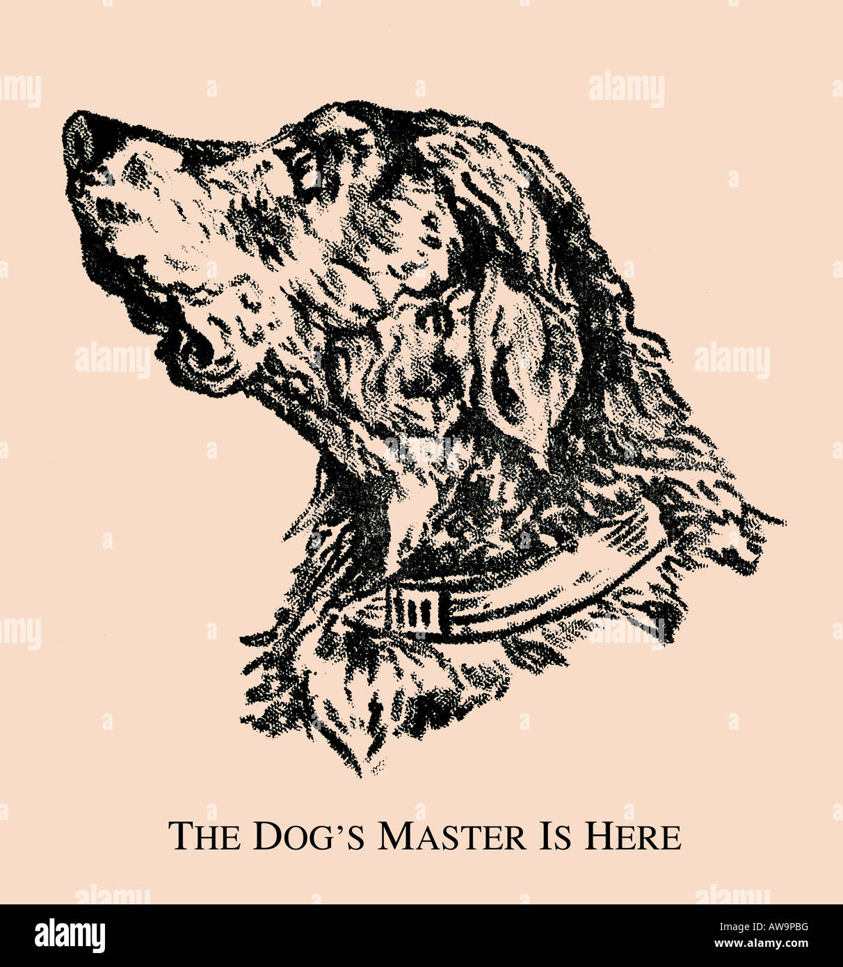 The Dog's Master is Here Stock Photo - Alamy