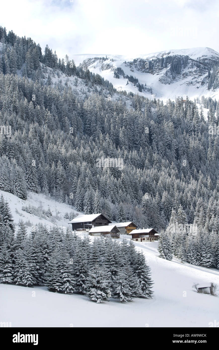 Mountain backdrop scene hi-res stock photography and images - Alamy