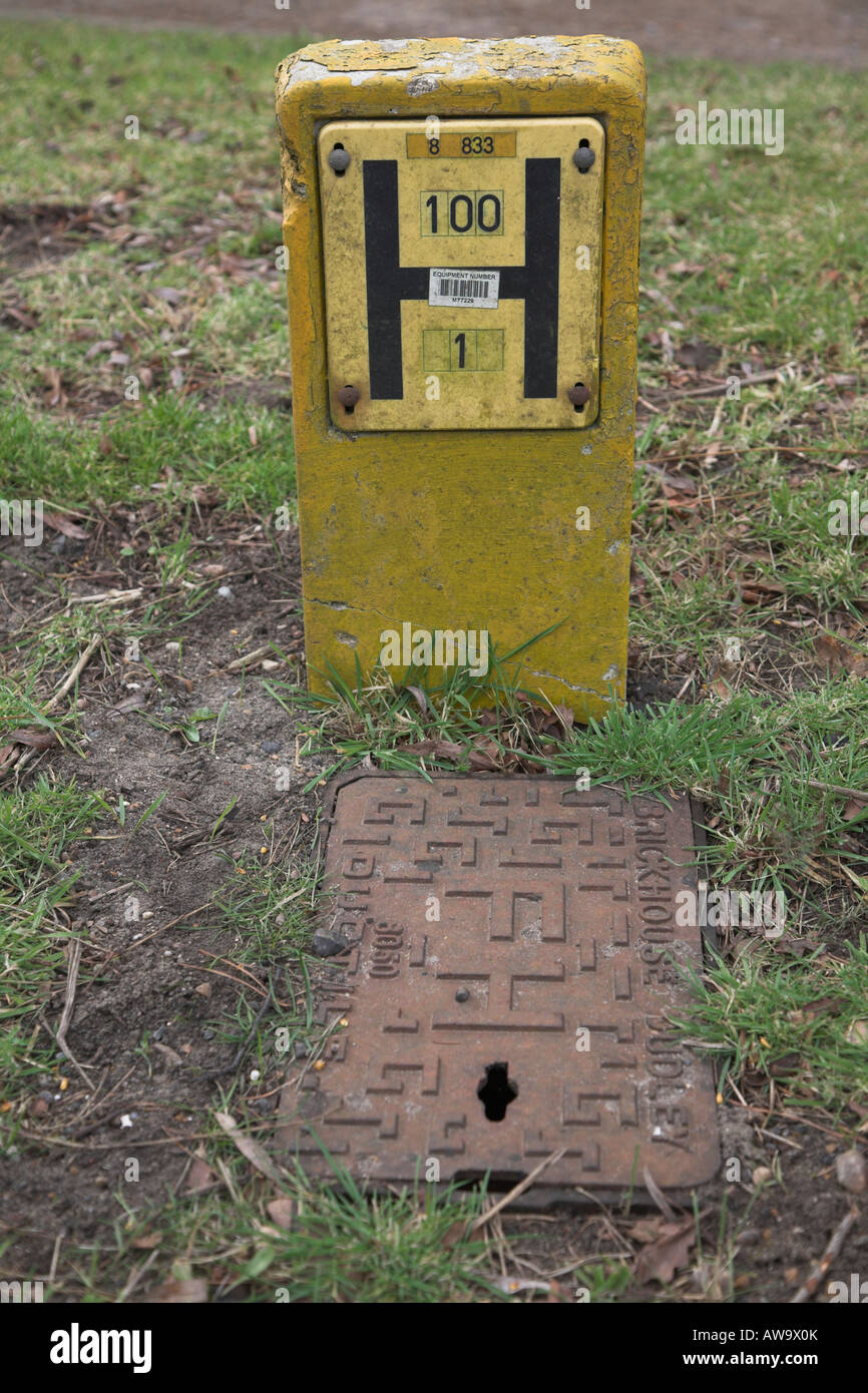 Yellow water fire hydrant post Stock Photo - Alamy