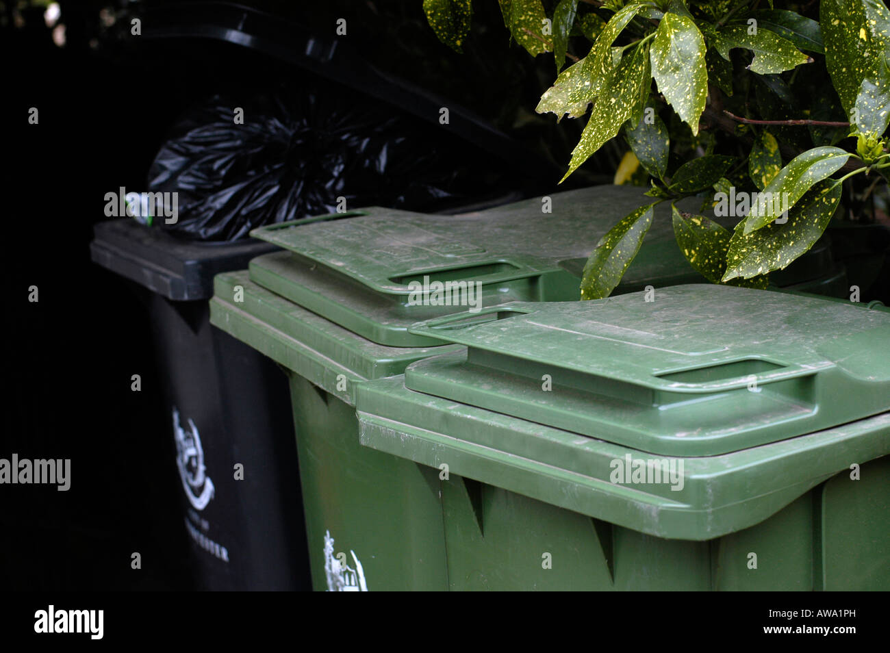Overflowing household waste bin and empty recycling bin Stock Photo - Alamy