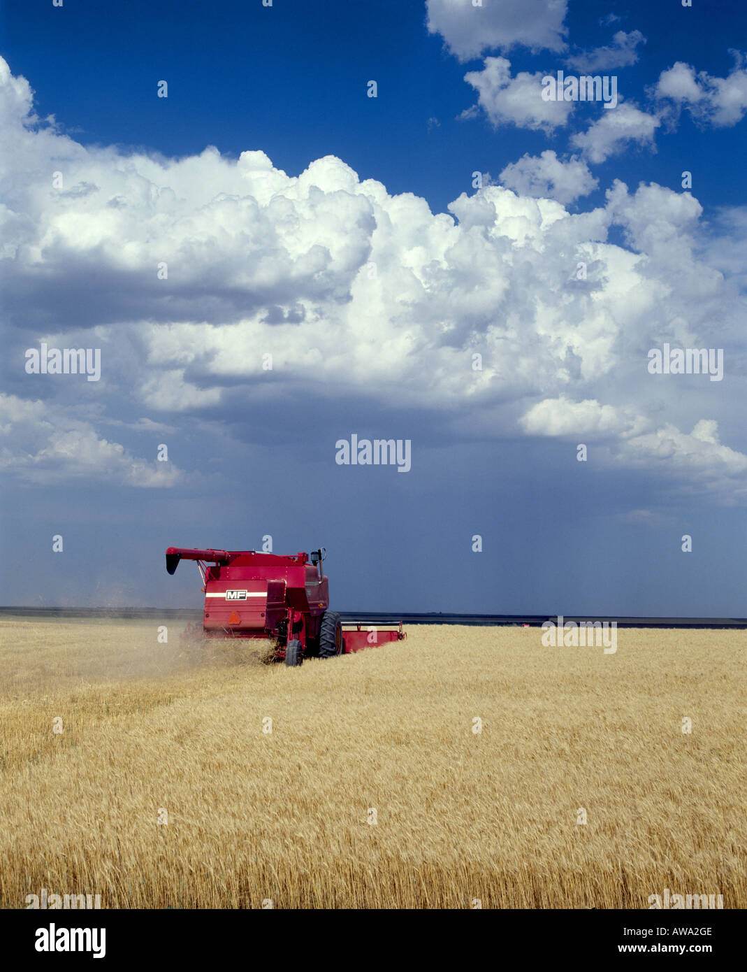 WHEAT HARVEST KANSAS Stock Photo - Alamy