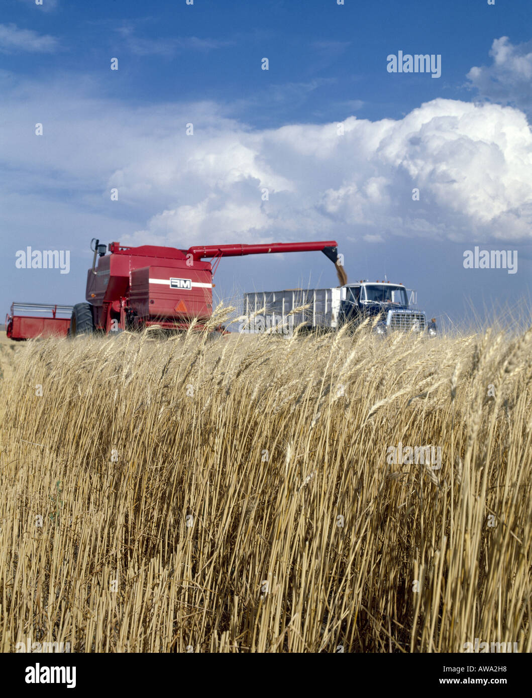 Grain chute hi-res stock photography and images - Alamy