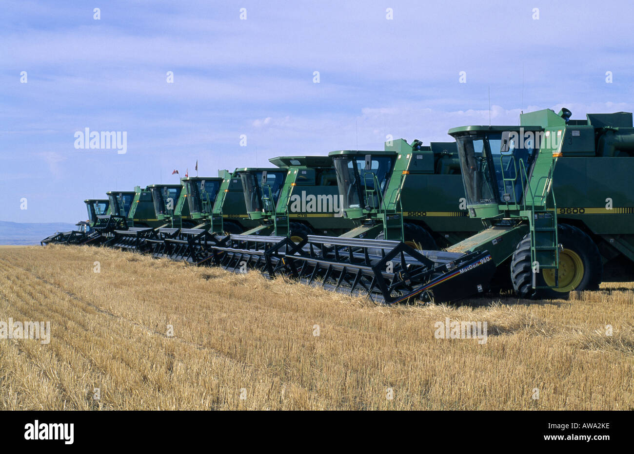 COMBINING HARD RED SPRING WHEAT WITH JOHN DEERE 9600 WITH HEADROW ...