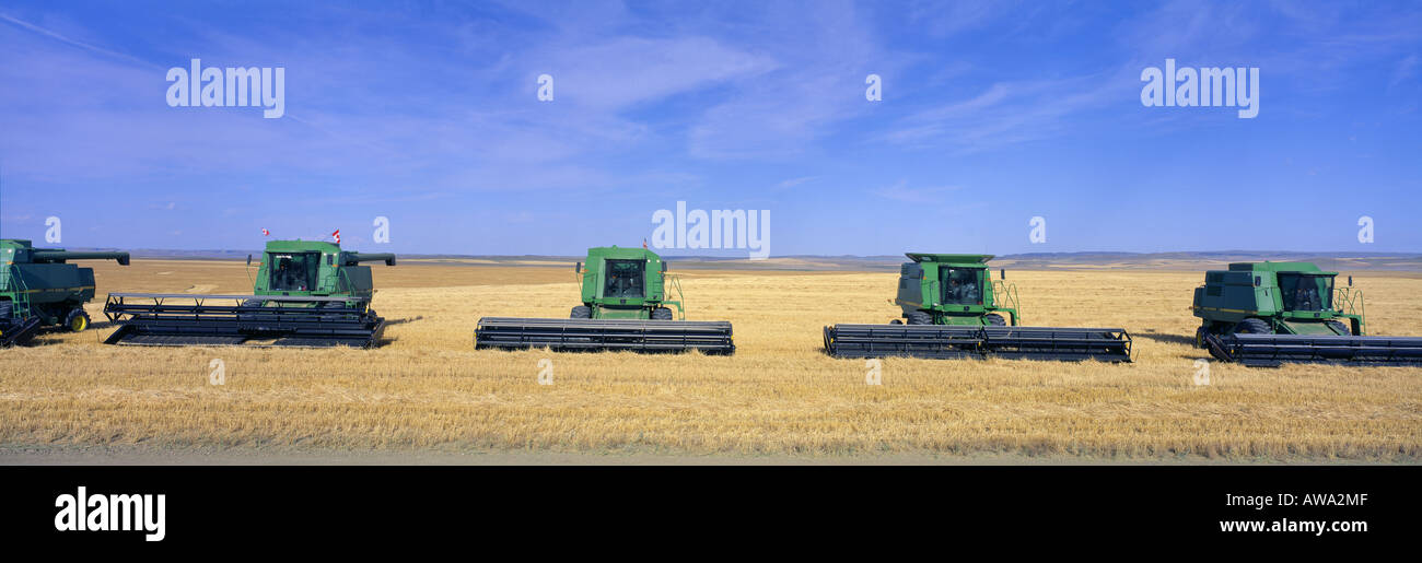 COMBINING HARD RED SPRING WHEAT WITH JOHN DEERE 9600 WITH HEADROW ...