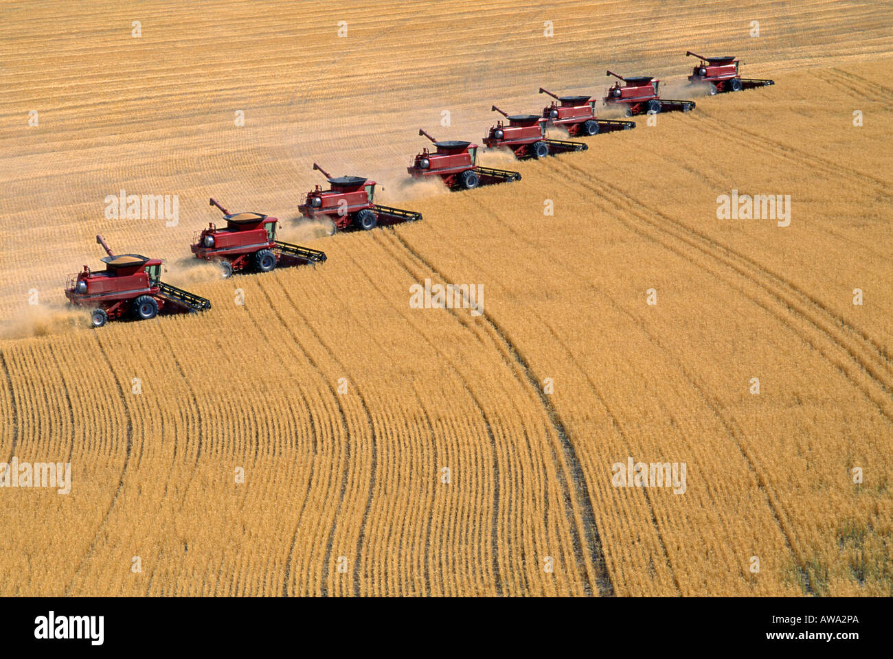 Hard Eight High Resolution Stock Photography and Images - Alamy