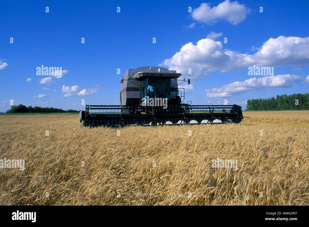 Gleaner combine hi-res stock photography and images - Alamy