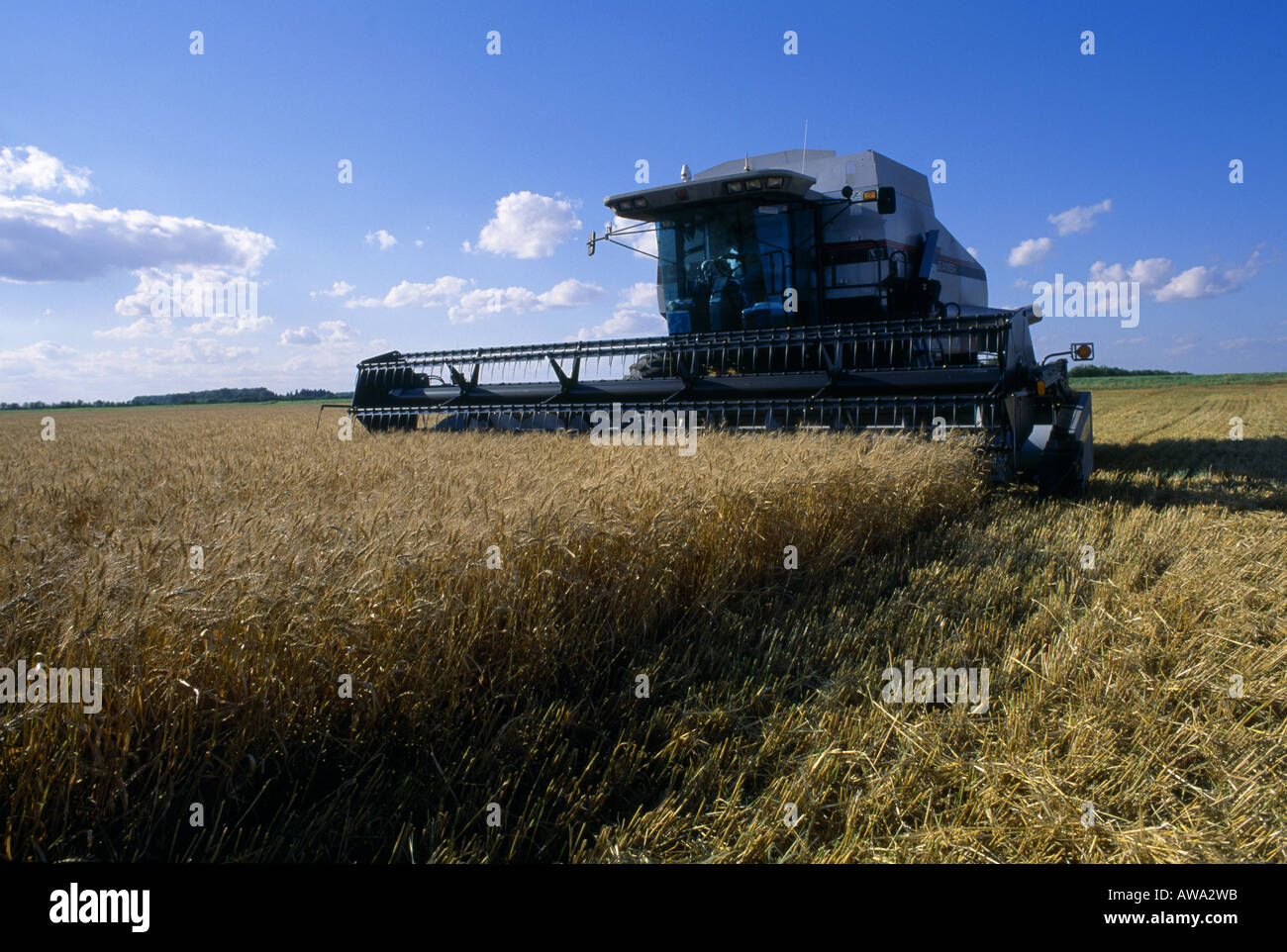 Gleaner r62 combine hi-res stock photography and images - Alamy