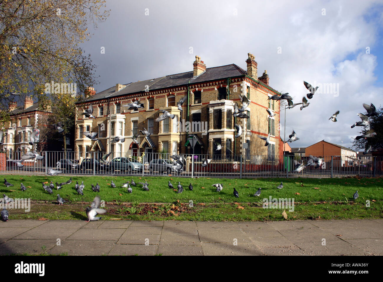 Derelict Houses in Liverpool with Pigeons Flying off Stock Photo - Alamy