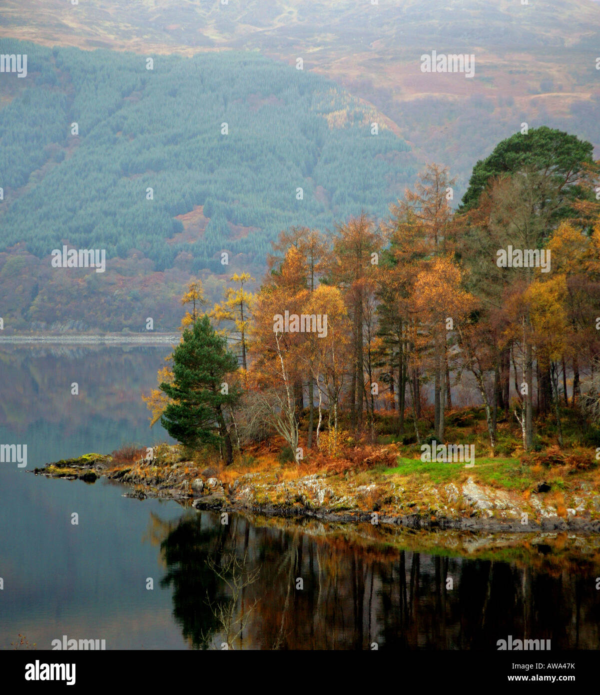 Bonny island hi-res stock photography and images - Alamy