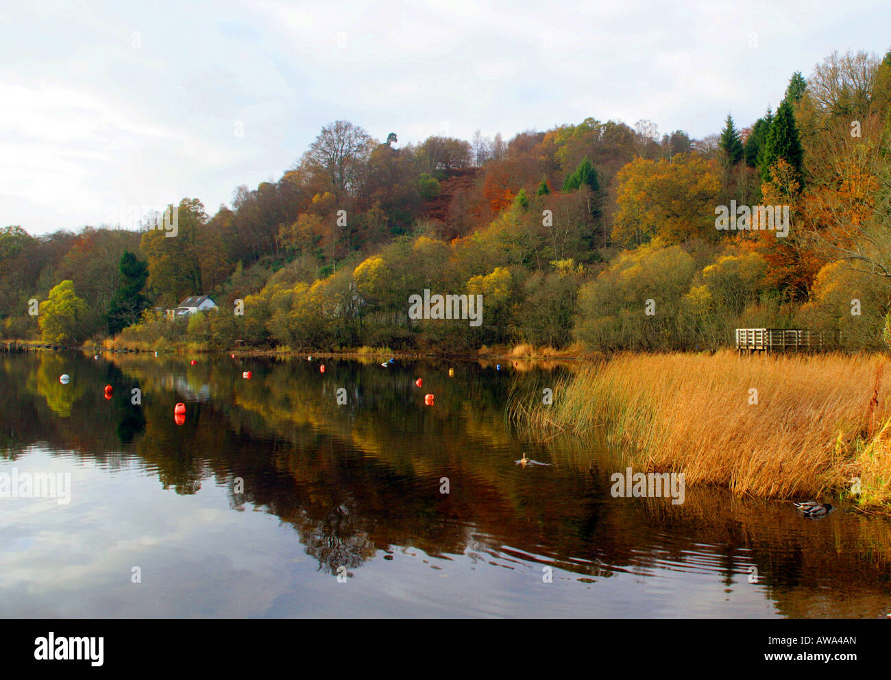 THE BONNY BONNY BANKS OF LOCH LOMOND. BALMAHA JETTY ON THE EAST SIDE OF ...