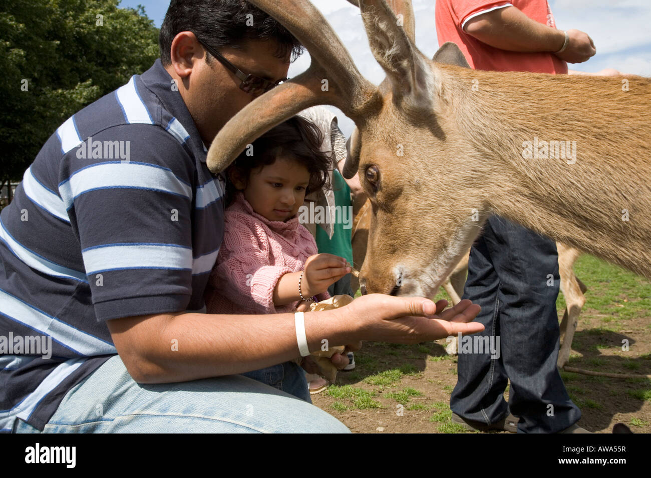 Mole Hall wildlife park and butterfly pavillion, Widdington, Saffron ...