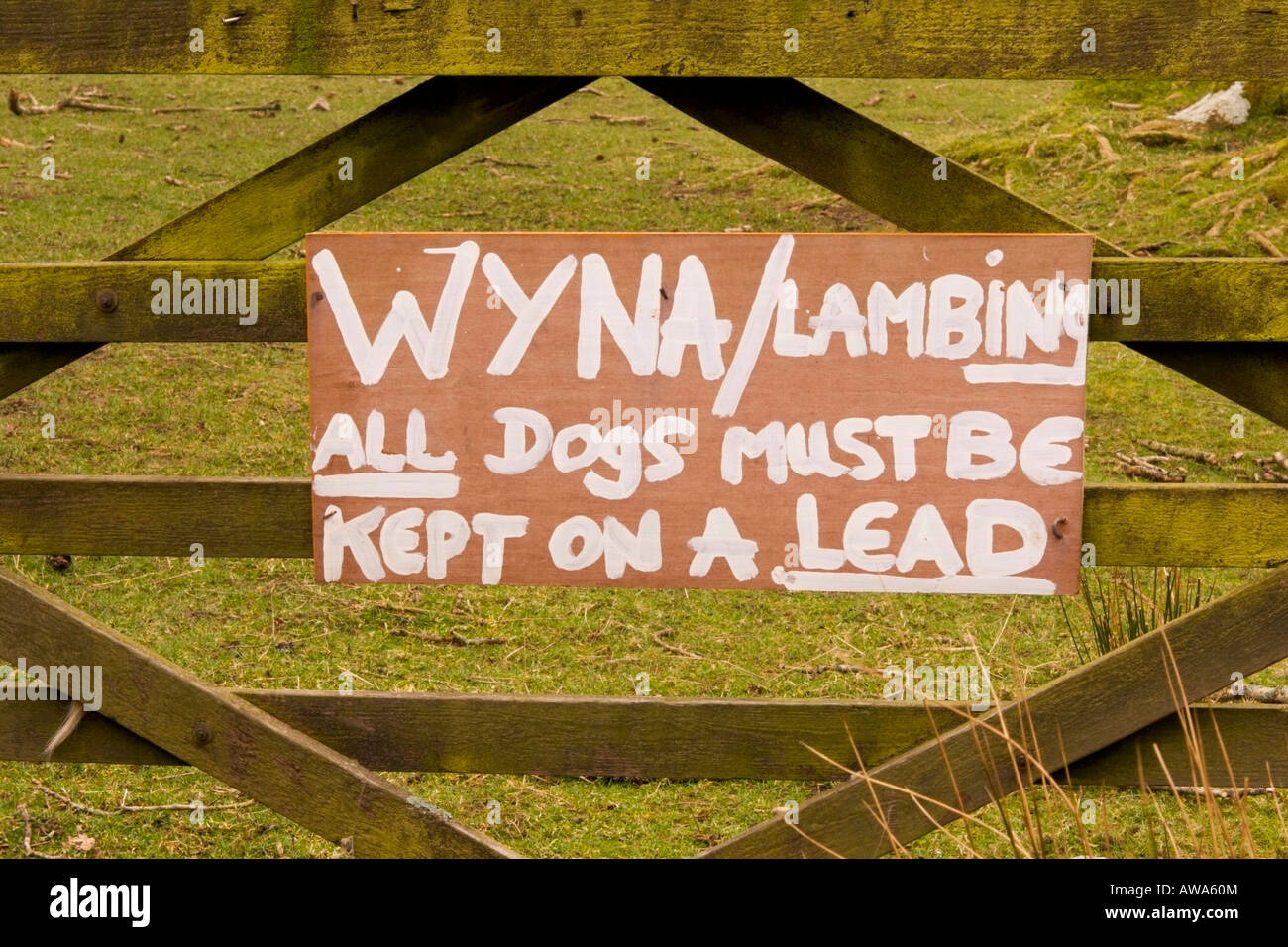 Welsh farm hi-res stock photography and images - Alamy
