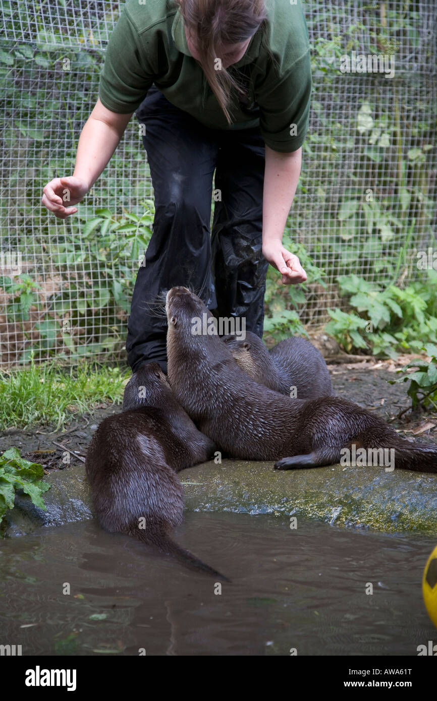 Mole Hall wildlife park and butterfly pavillion, Widdington, Saffron ...