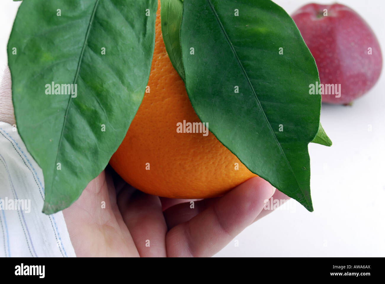 Summer fruit lebanon hi-res stock photography and images - Alamy