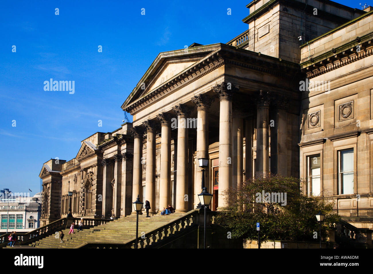 World Museum Liverpool Merseyside England Stock Photo - Alamy